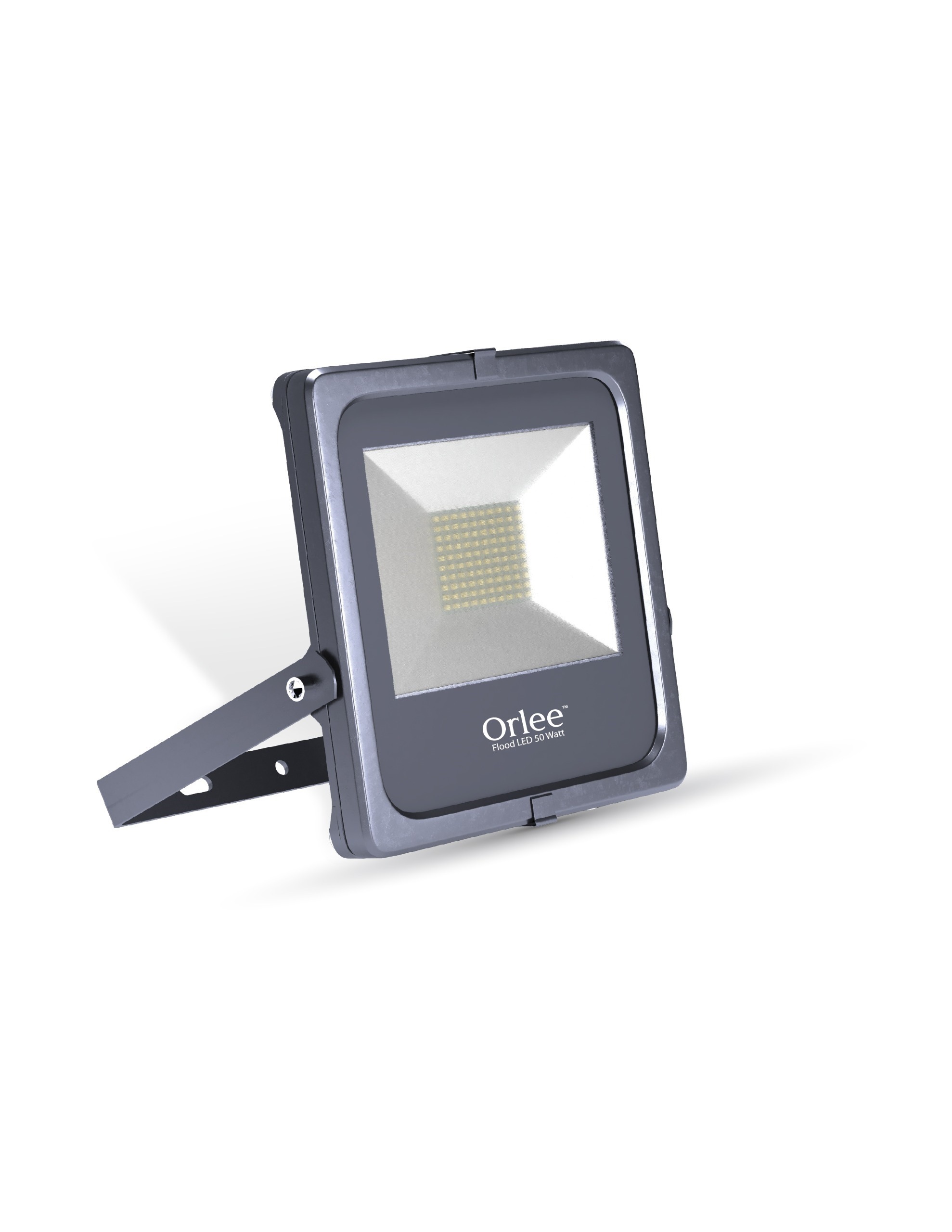 Orlee LED Flood Light